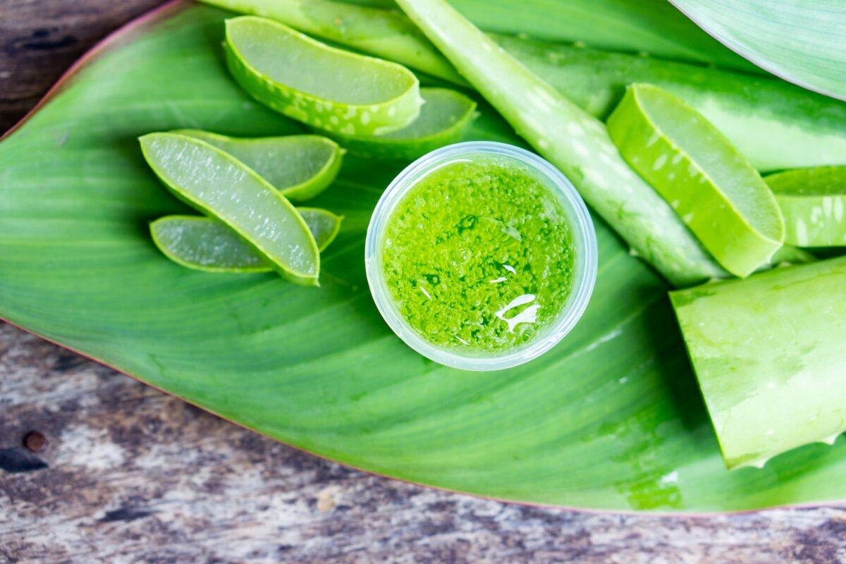 Pure Aloe Vera Gel - Sophix Natural